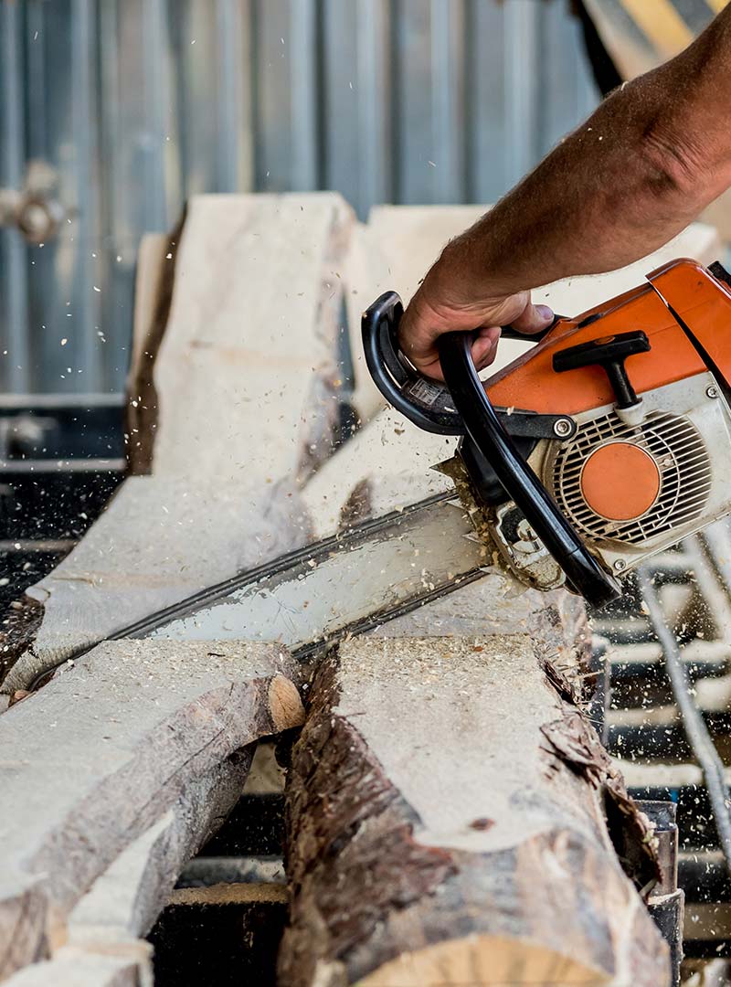 Chainsaw - Experienced - CIVIL TRAIN